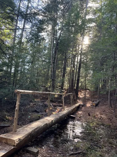 Best Hikes and Trails in Fernald's Neck Preserve | AllTrails