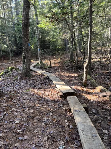 Best Hikes and Trails in Fernald's Neck Preserve | AllTrails