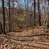 Difficult Run Trail, Virginia - 694 Reviews, Map | AllTrails