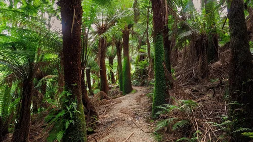 Best Hikes and Trails in Mount Worth State Park | AllTrails