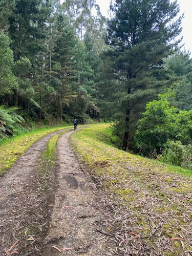 Best Hikes and Trails in Ferndale | AllTrails