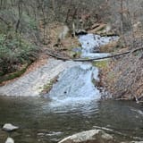 Roaring Run Trail, Virginia - 784 Reviews, Map | AllTrails