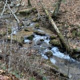 Roaring Run Trail, Virginia - 784 Reviews, Map | AllTrails