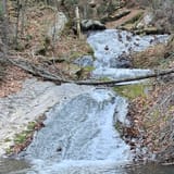 Roaring Run Trail, Virginia - 784 Reviews, Map | AllTrails