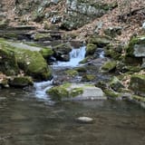 Roaring Run Trail, Virginia - 784 Reviews, Map | AllTrails