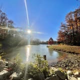 Bee Tree Lake Loop, Missouri - 546 Reviews, Map | AllTrails