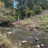 Sycamore Trail Loop, North Carolina - 1,433 Reviews, Map | AllTrails