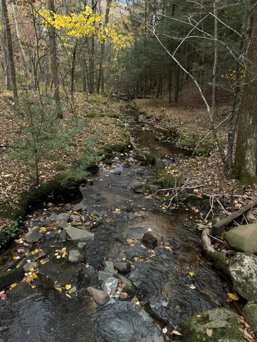 Best Hikes and Trails in Simsbury Farms Rec Complex | AllTrails