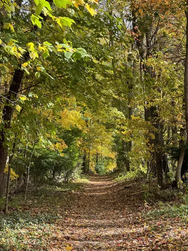 Best Hikes and Trails in Simsbury Farms Rec Complex | AllTrails