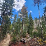 Boreas Pass Road and Baker's Tank Trail Loop, Colorado - 814 Reviews ...