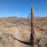 Clay Mine Trail, Arizona - 416 Reviews, Map | AllTrails
