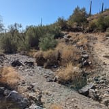 Clay Mine Trail, Arizona - 416 Reviews, Map | AllTrails