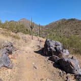Clay Mine Trail, Arizona - 416 Reviews, Map | AllTrails