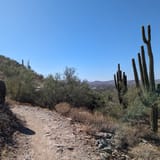 Clay Mine Trail, Arizona - 416 Reviews, Map | AllTrails