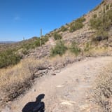 Clay Mine Trail, Arizona - 416 Reviews, Map | AllTrails