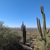 Clay Mine Trail, Arizona - 416 Reviews, Map | AllTrails