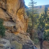 Spruce Canyon Trail, Colorado - 347 Reviews, Map | AllTrails