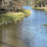 Cedar Lake Trail, Oklahoma - 137 Reviews, Map | AllTrails