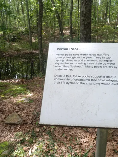 Best Hikes and Trails in Webb Mountain Discovery Zone | AllTrails