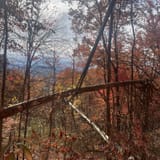 Sharps Ridge Loop Trail, Tennessee - 921 Reviews, Map | AllTrails