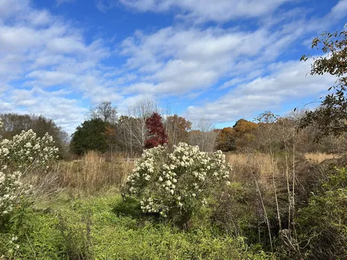 Best Views Trails in Acushnet | AllTrails