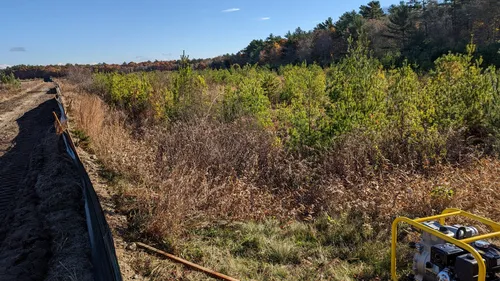 Best Hikes and Trails in The Bogs | AllTrails