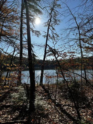 2023 Best Snowshoeing Trails in Echo Lake State Park | AllTrails