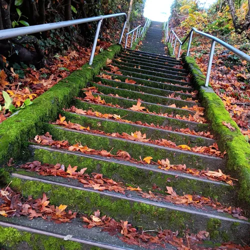 Best Hikes and Trails in Frink Park | AllTrails