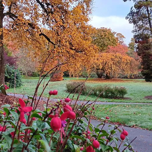 Best Hikes and Trails in Frink Park | AllTrails