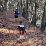 Shetucket River Ridge Trail, Connecticut - 309 Reviews, Map | AllTrails