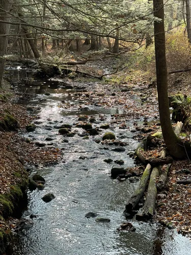 2023 Best Forest Trails in Hanover | AllTrails