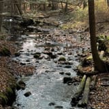 Shetucket River Ridge Trail, Connecticut - 309 Reviews, Map | AllTrails