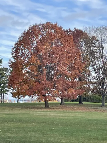 Best Hikes and Trails in Trexler Park | AllTrails