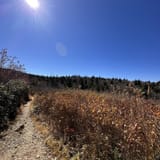 Sam's Knob and Little Sam Loop, North Carolina - 506 Reviews, Map ...