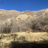 Maple Canyon to Whiting Campground, Utah - 607 Reviews, Map | AllTrails