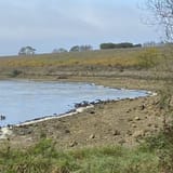 Grafham Water Circular, Cambridgeshire, England - 416 Reviews, Map ...