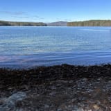 Chamberlain-Reynolds Memorial Forest Loop, New Hampshire - 878 Reviews ...