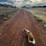 East Ridge and Long Valley Trail Loop, California - 938 Reviews, Map ...