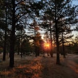 Fatmans Loop Trail, Arizona - 4,936 Reviews, Map | AllTrails