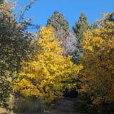 Carlito Springs Loop, New Mexico - 462 Reviews, Map | AllTrails