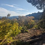 Carlito Springs Loop, New Mexico - 462 Reviews, Map | AllTrails