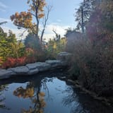 Carlito Springs Loop, New Mexico - 462 Reviews, Map | AllTrails