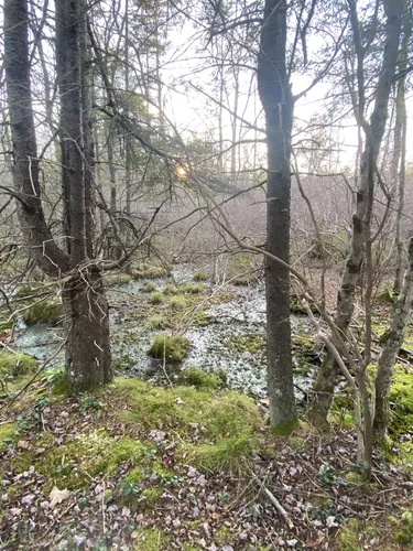 Best Hikes and Trails in Maple Tract Preserve | AllTrails