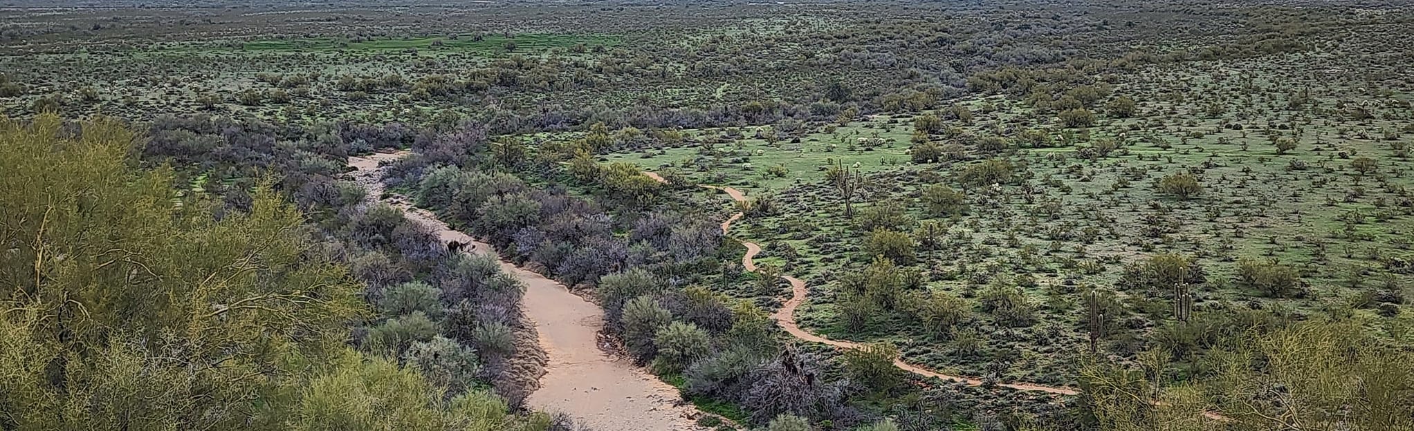 Apache Wash Sidewinder Loop Trail, Arizona - 1,447 Reviews, Map | AllTrails