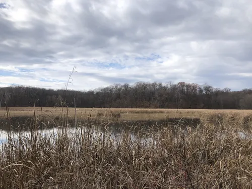 Best Forest Trails in Saint Joseph | AllTrails