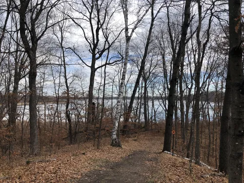 Best Forest Trails in Saint Joseph | AllTrails
