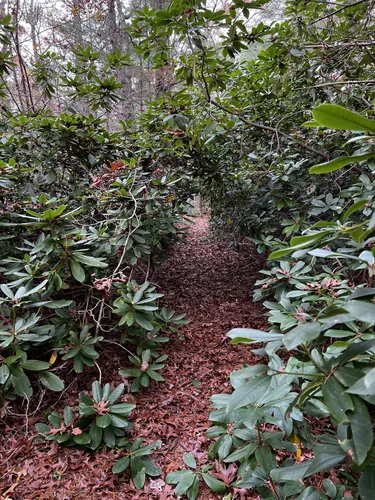 Best Hikes and Trails in Hedges Pond Recreation Area | AllTrails