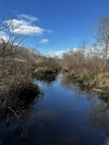 Best Hikes and Trails in Cold Harbor Brook F.C. | AllTrails