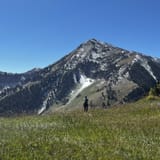 Box Elder Peak via Deer Creek-Dry Creek Trail, Utah - 342 Reviews, Map ...