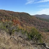 Devils Knob Loop, Arkansas - 237 Reviews, Map | AllTrails